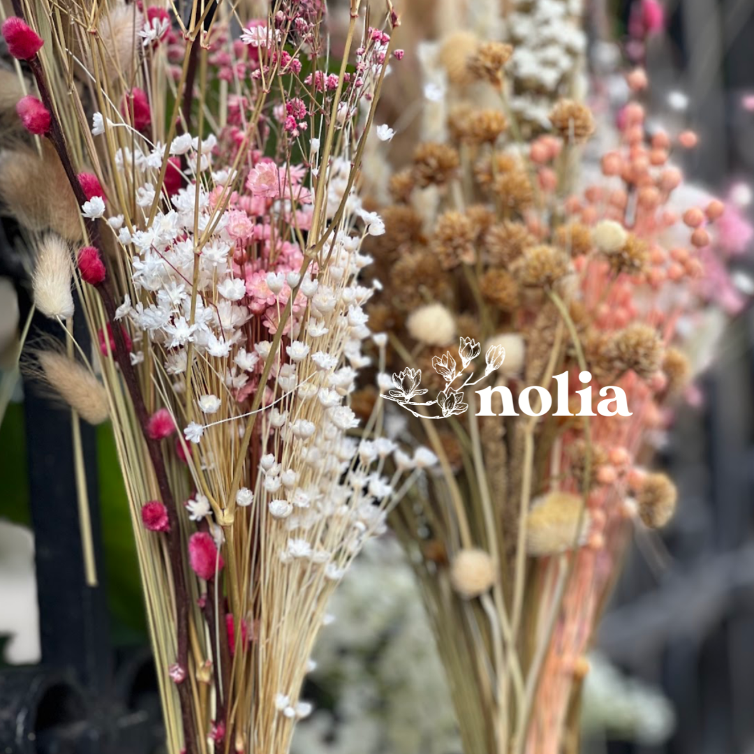 Les Engagements De Nolia Nolia Paris